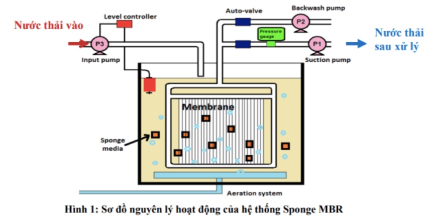 Nghiên cứu loại bỏ kháng sinh trong nước thải bằng công nghệ màng ...